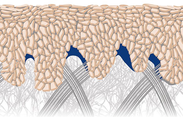Eucerin: Ageing skin | Loss of elasticity and deep wrinkles